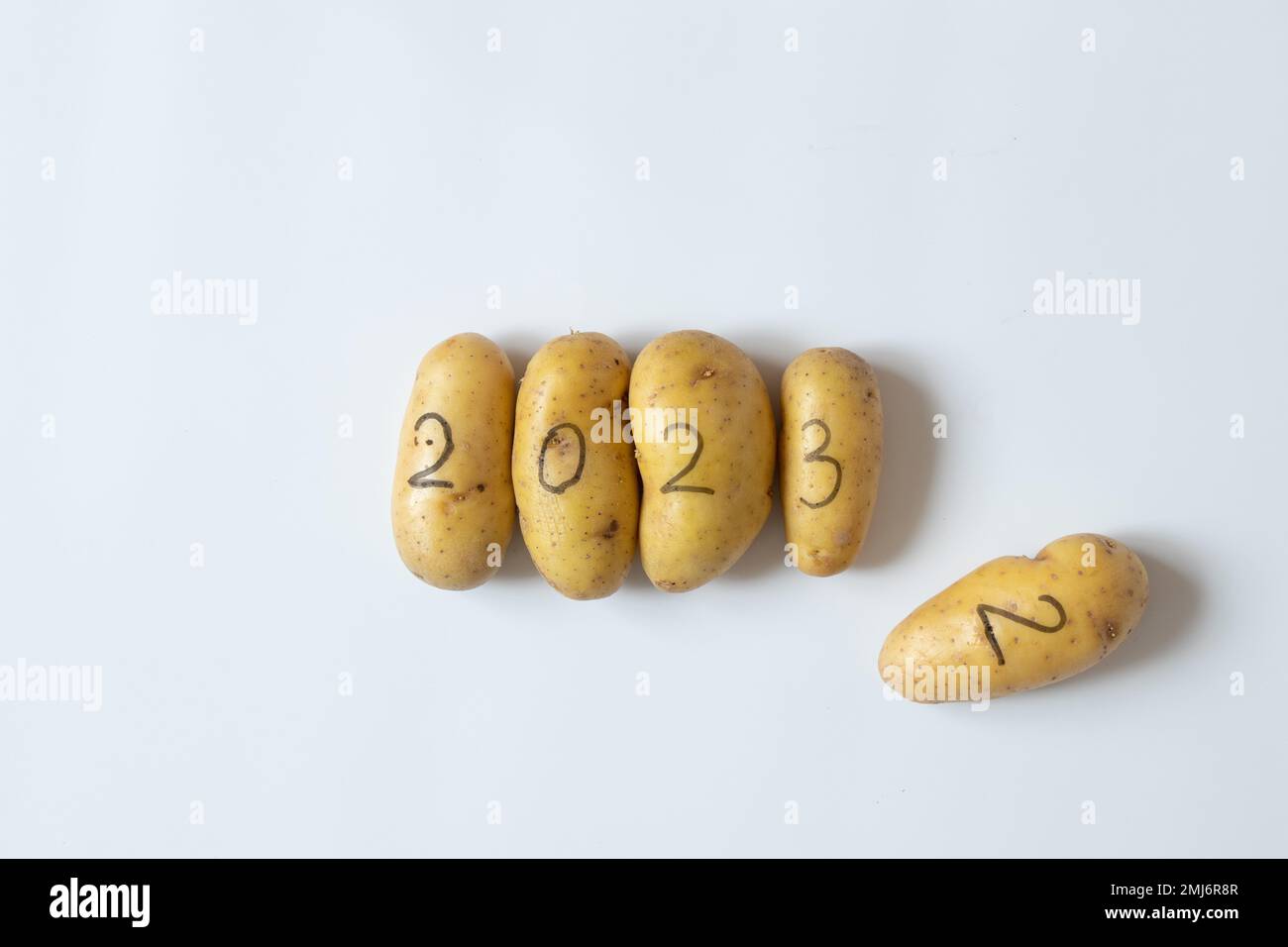 Four raw potatoes with the numbers 2023 and next to them lies a potato ...