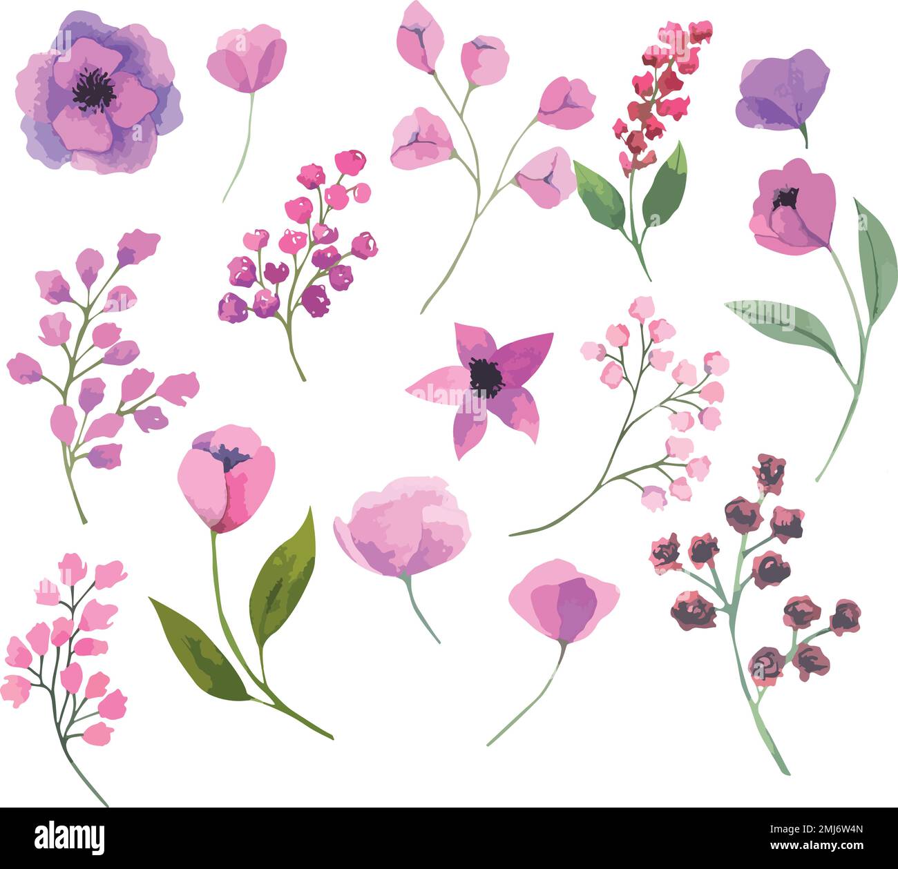 Set of vector watercolor flowers, botanical illustration of flowers and ...