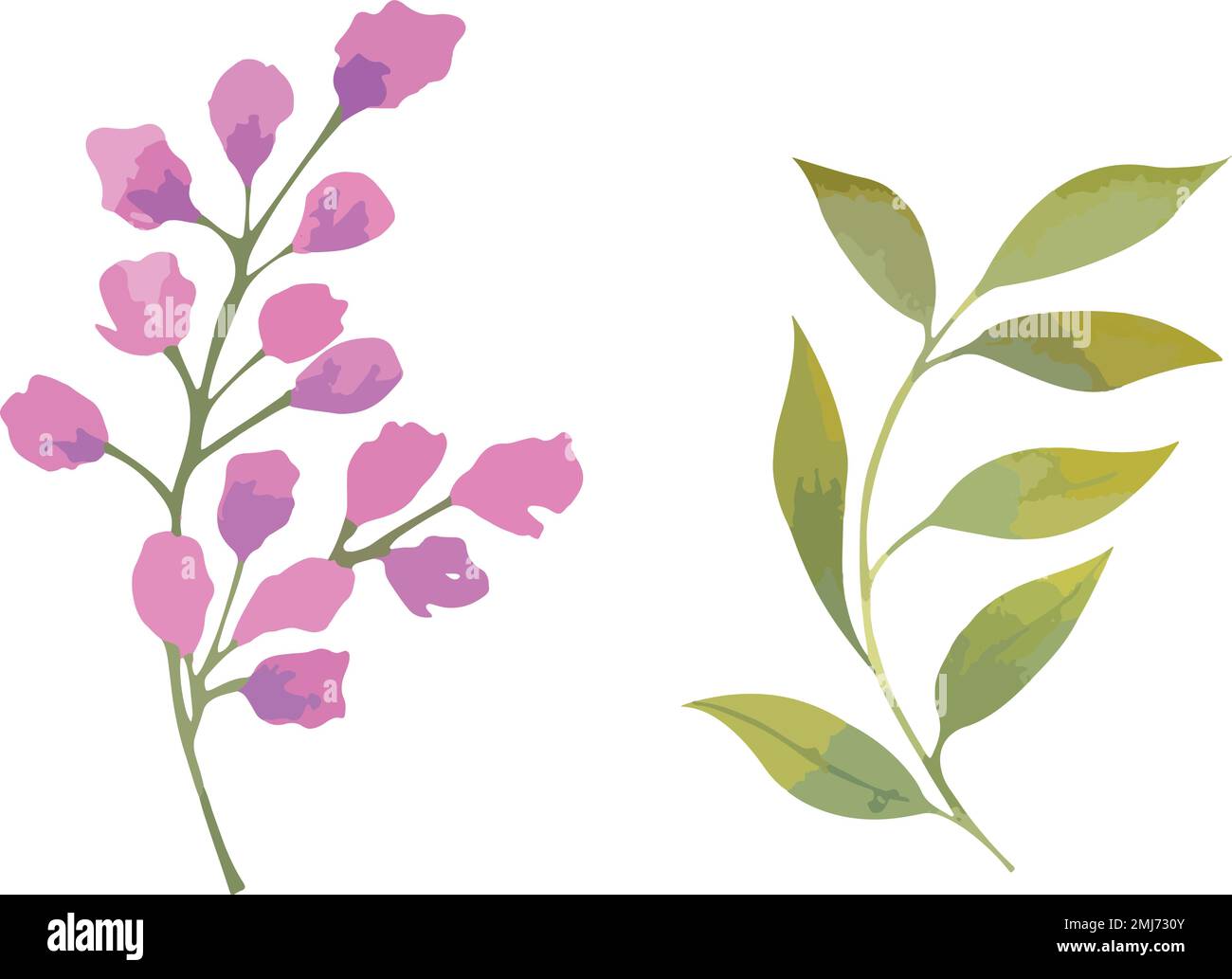 Set of vector watercolor flowers, botanical illustration of flowers and ...