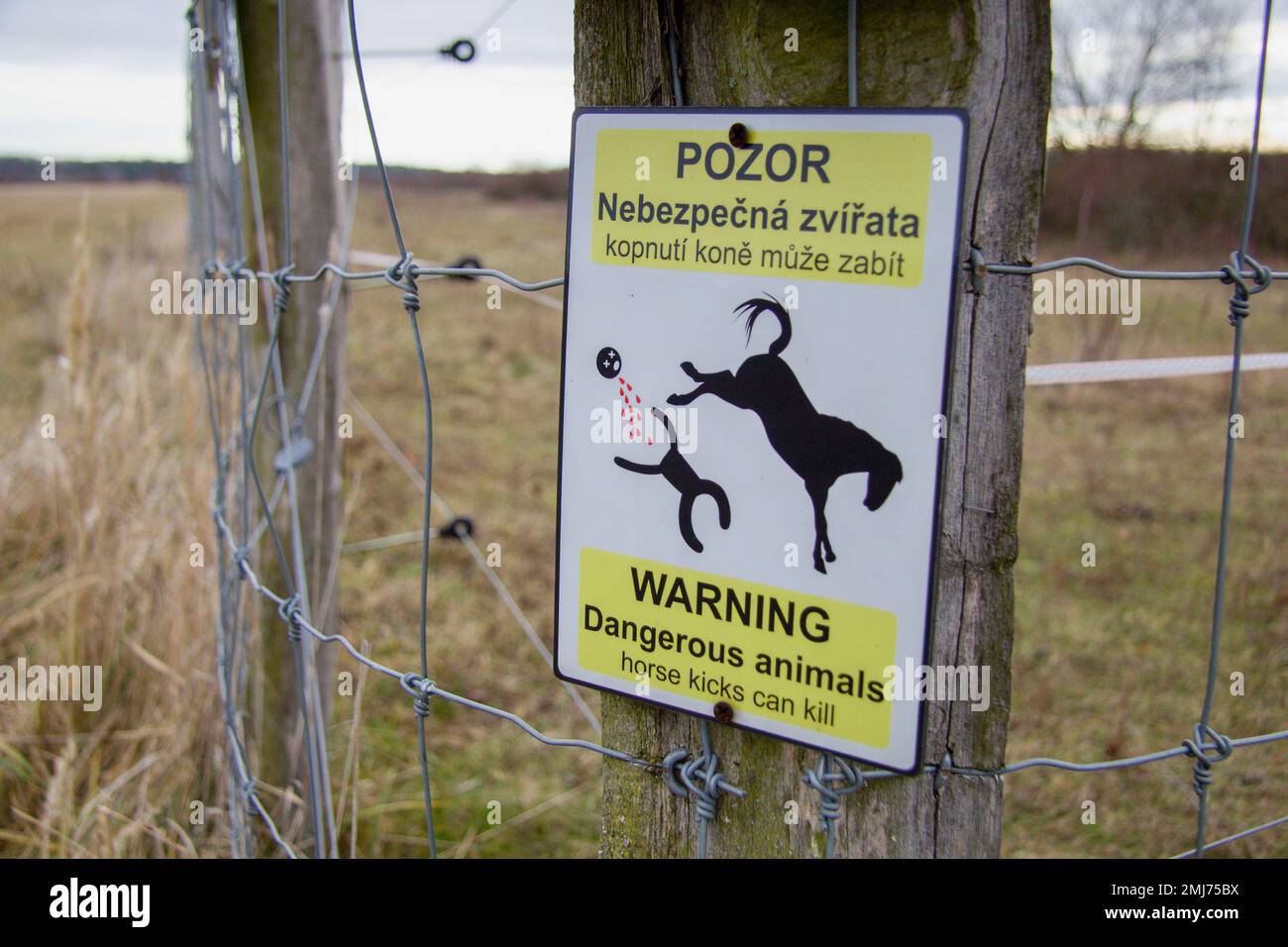 Warning sign: dangerous animal - horse kicks can kill. Warning sign on ...