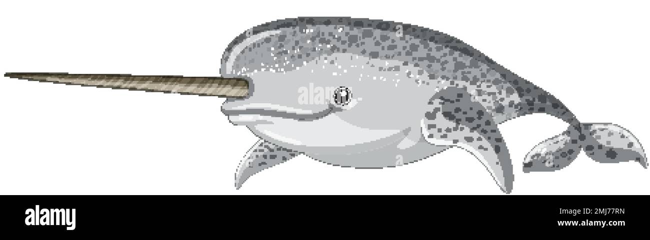Narwhal on white background illustration Stock Vector Image & Art - Alamy