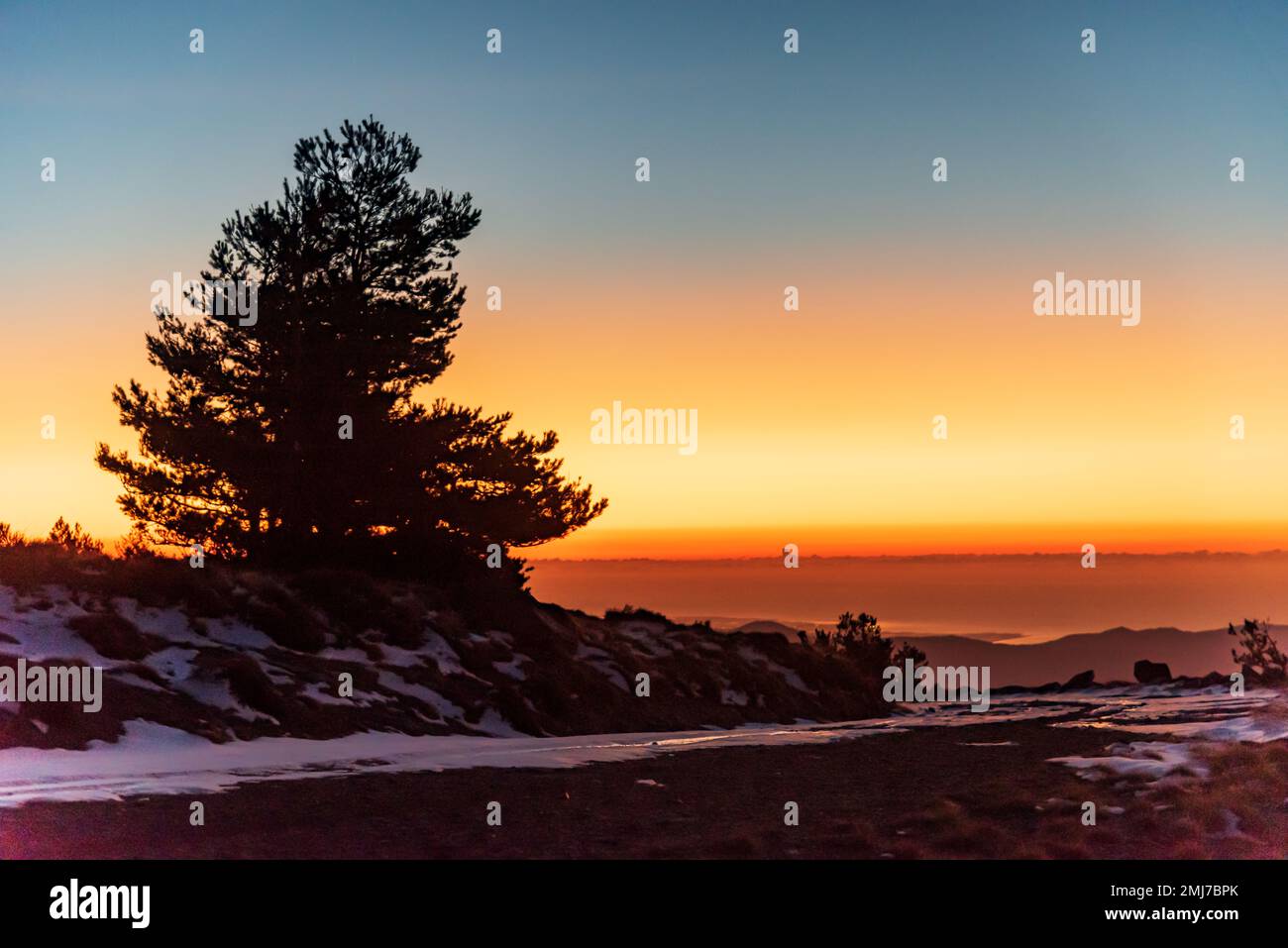 Landscape at dawn on the south face of the Sierra Nevada, a tree ...