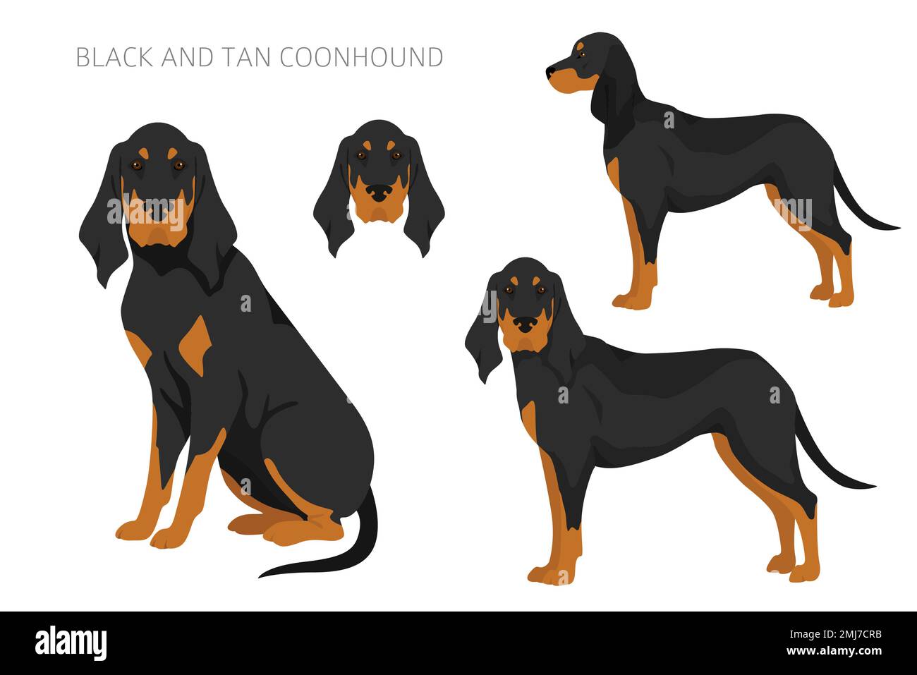 Black and tan coonhound clipart. Different coat colors and poses set ...