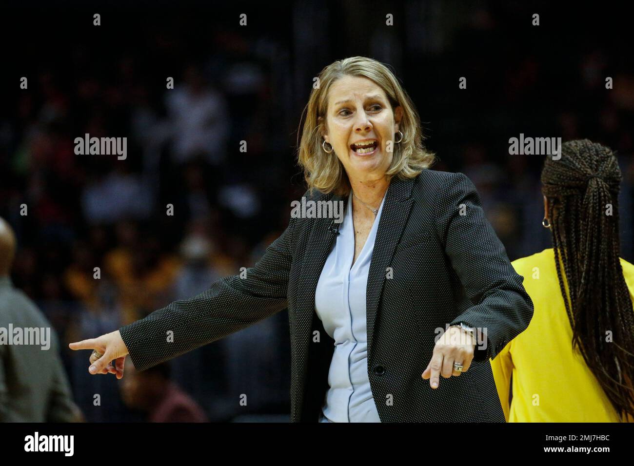 Minnesota Lynx's head coach Cheryl Reeve in a WNBA basketball game ...