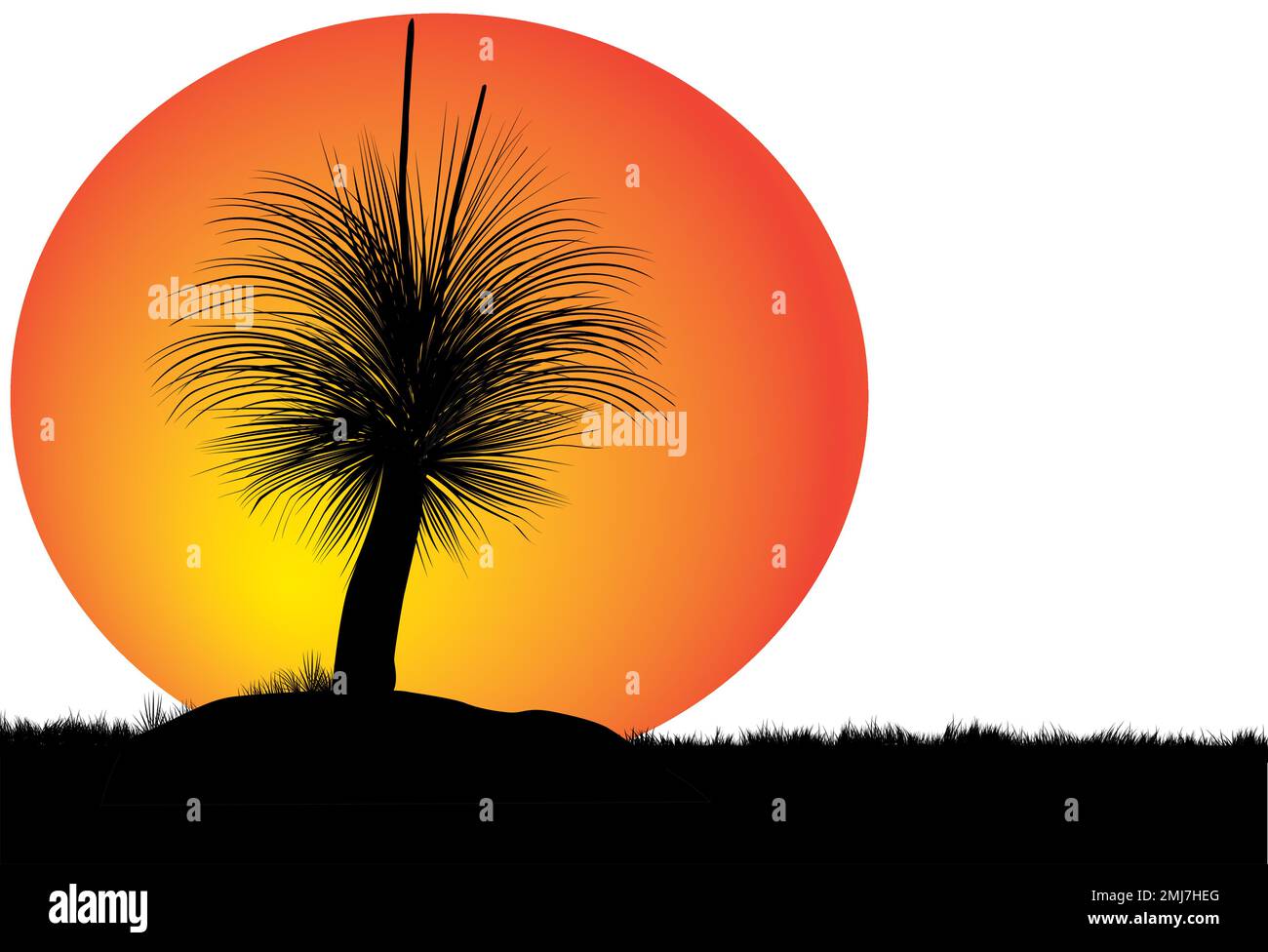 Australian native grass grass flower Stock Vector Images - Alamy