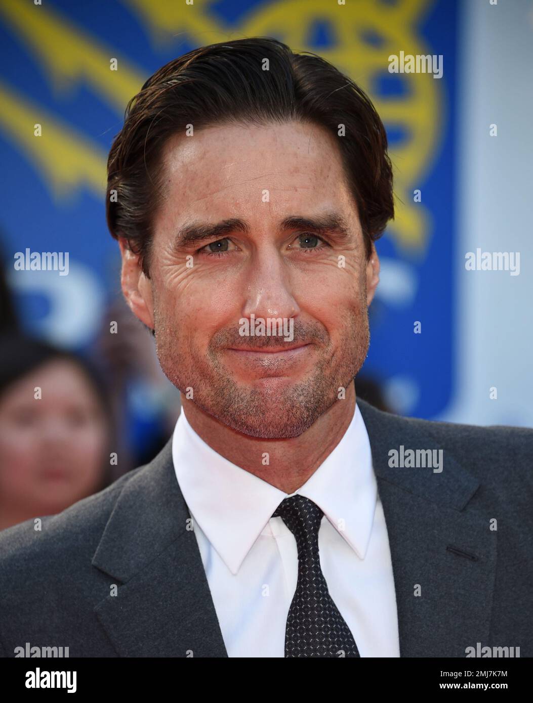 Luke Wilson attends a premiere for "The Goldfinch" on day four of the ...