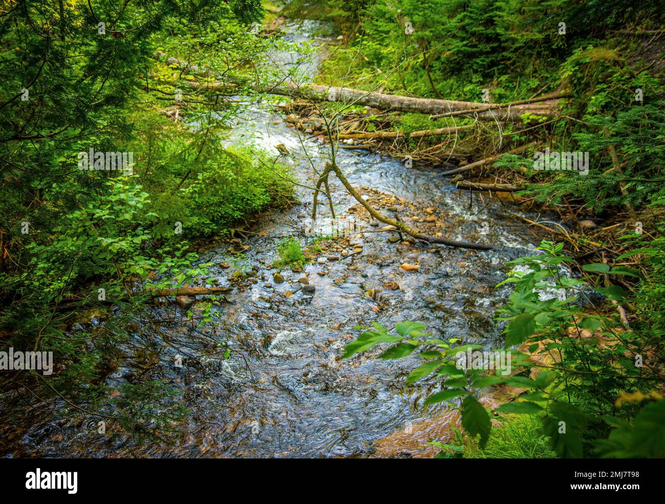 Fast moving shallow water down stream from Sable Falls Michigan UP ...