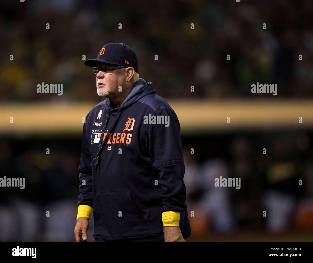 Detroit Tigers manager Ron Gardenhire, returns to the dugout after ...