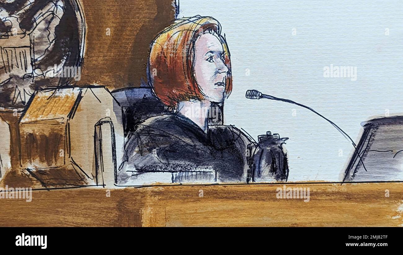 In this courtroom sketch, Magistrate Judge Sarah Cave presides over the ...
