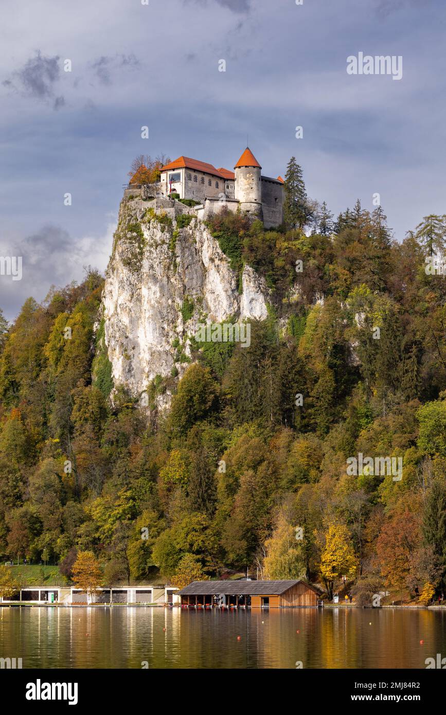 Historic medieval Bled castle (Blejski grad) and St. Martin's Parish ...