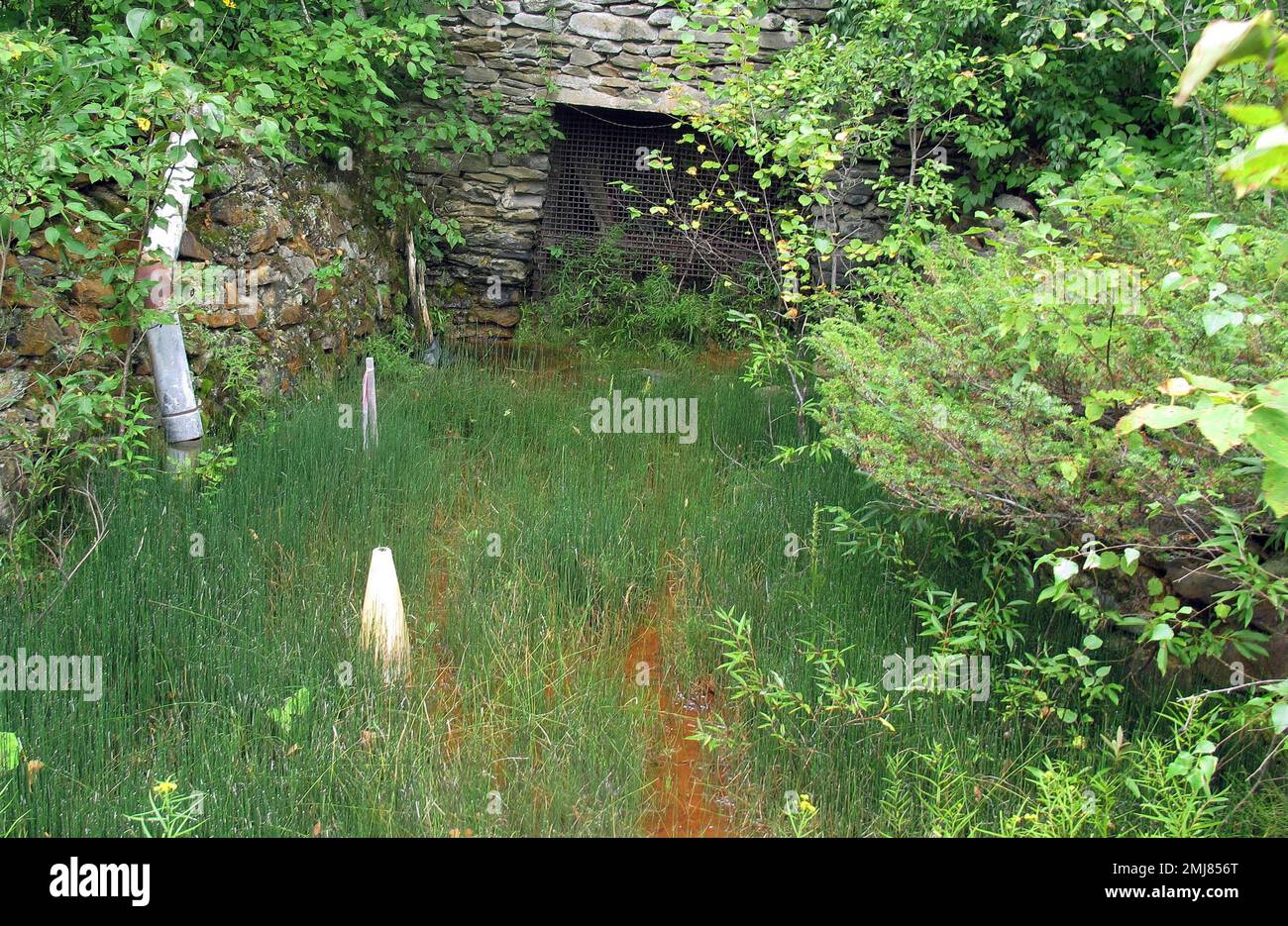 This photo taken on Monday, Aug. 19, 2019 in Strafford, Vt., shows an ...