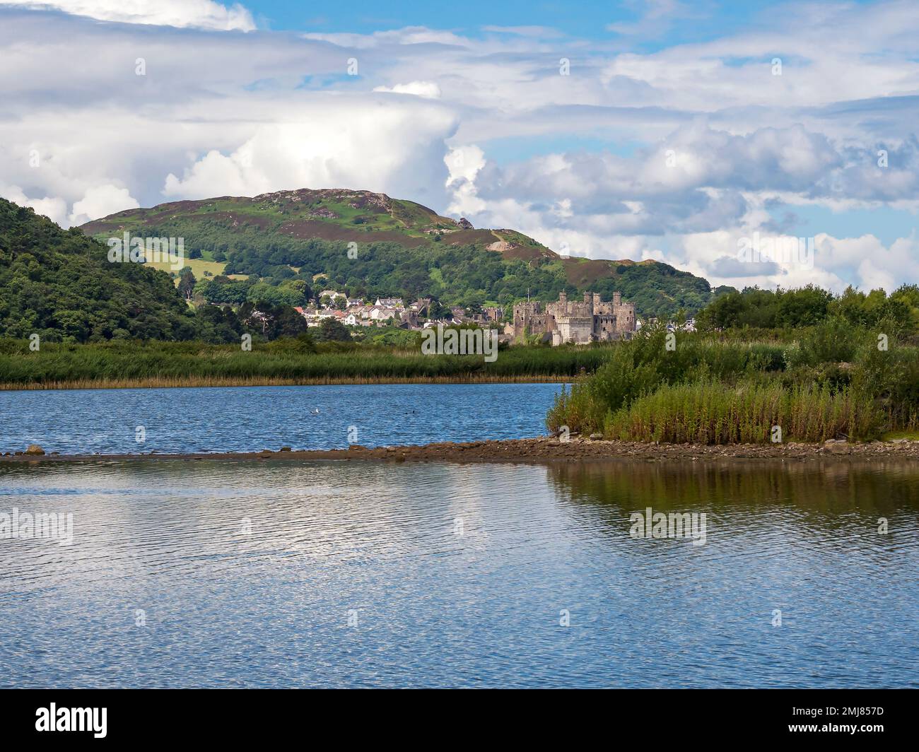 Conwy Castle seen across the Conwy Estuary, North Wales Stock Photo - Alamy