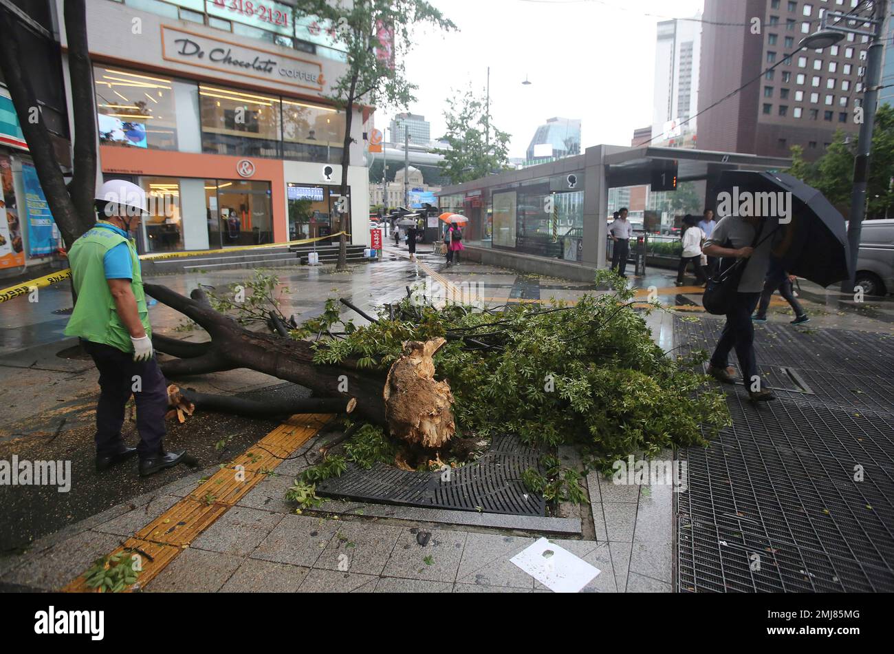 A fallen tree caused by Typhoon Lingling lies across a walkway in Seoul ...