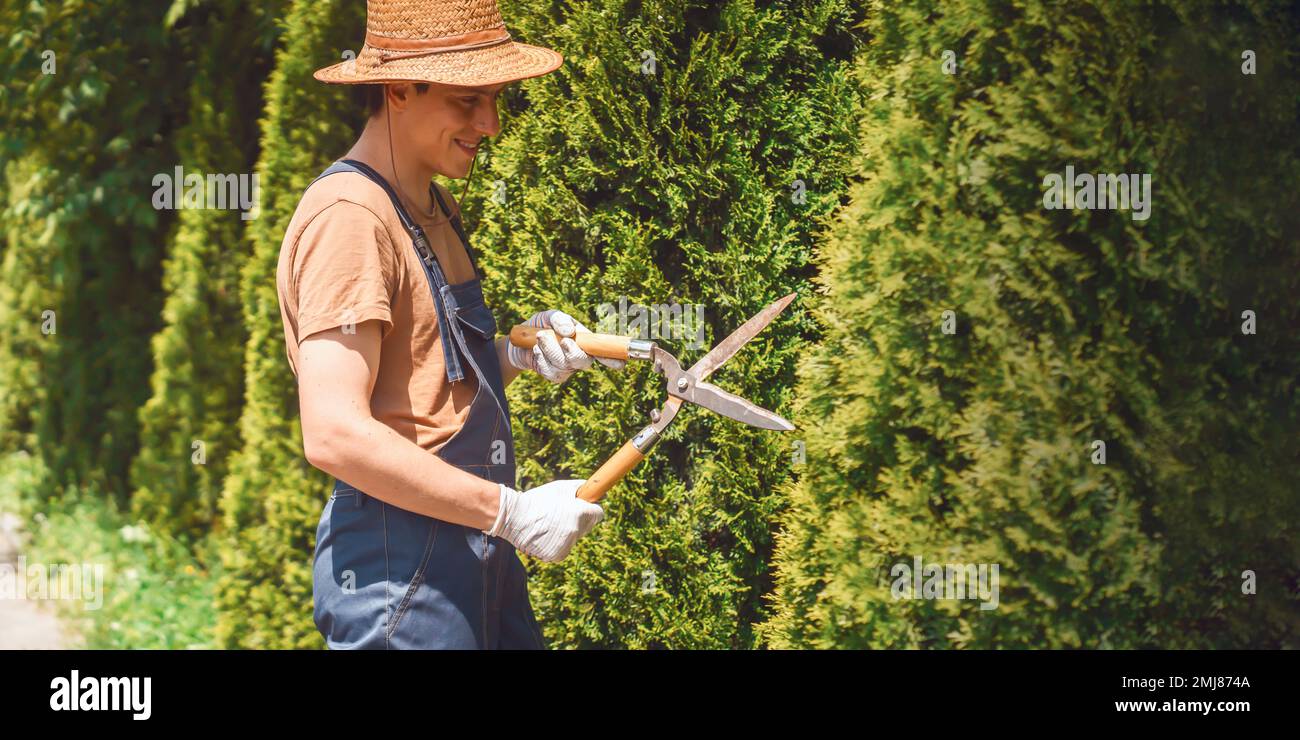Male gardener man trim fir hi-res stock photography and images - Alamy