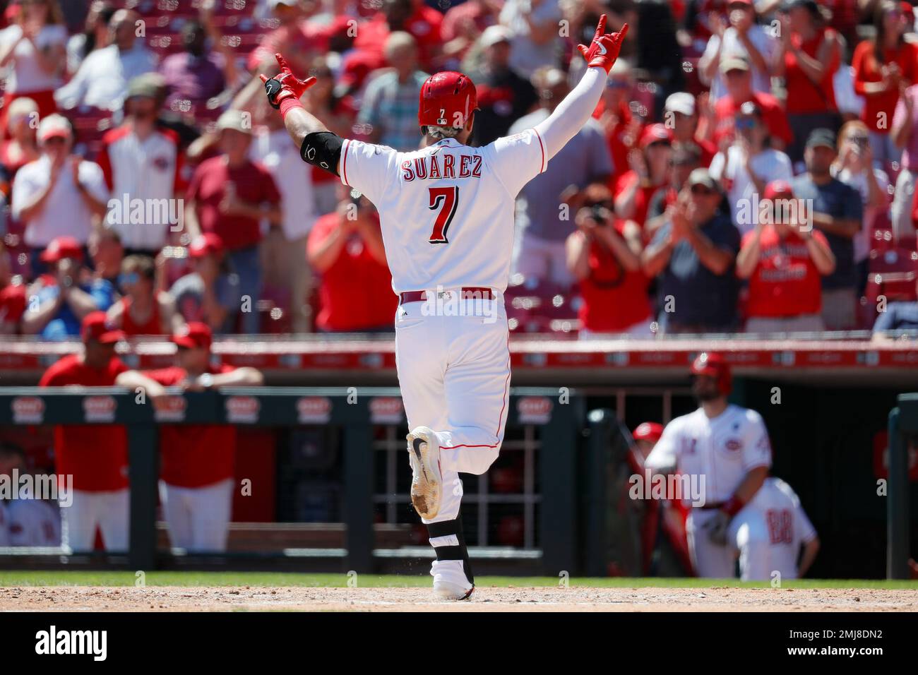 Cincinnati Reds' Eugenio Suarez celebrates after hitting a solo home ...