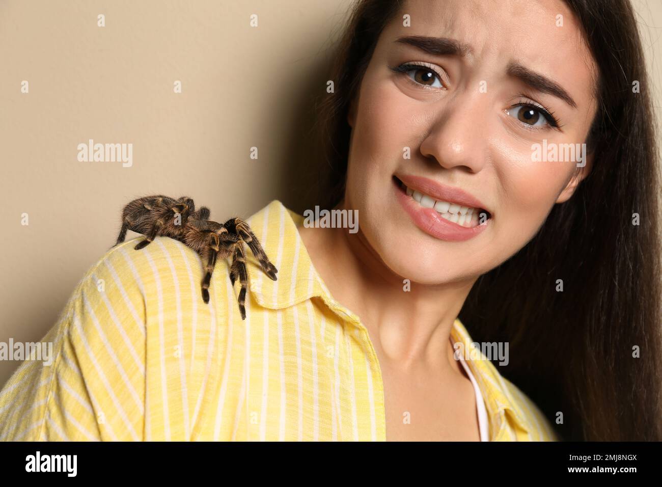 Scared young woman with tarantula on beige background. Arachnophobia ...