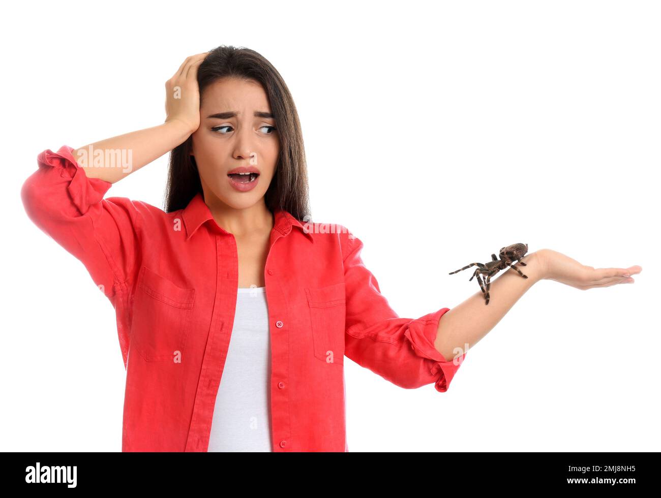 Scared young woman with tarantula on white background. Arachnophobia ...