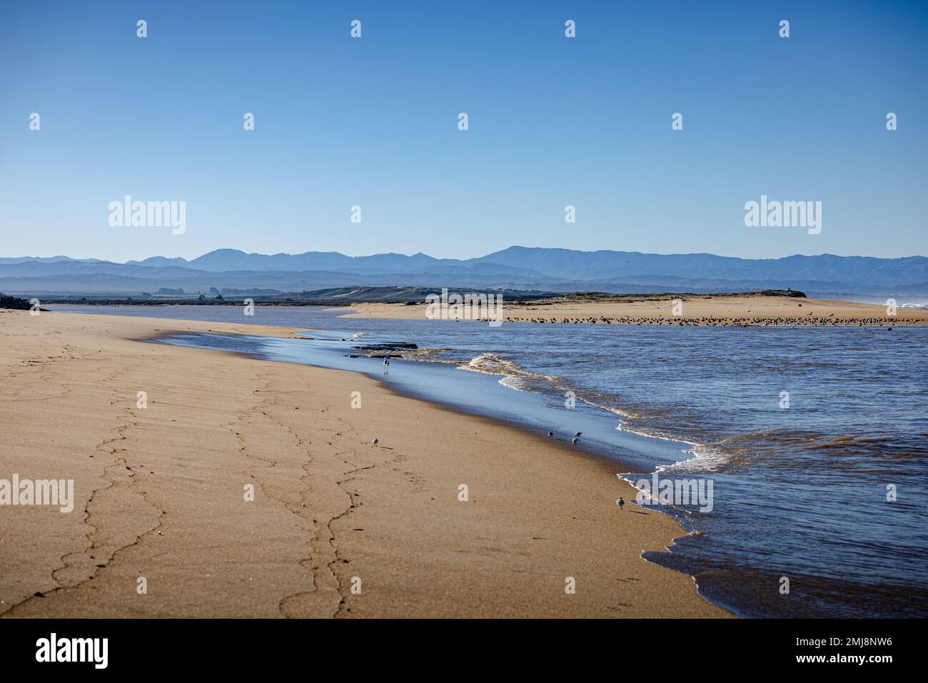 The high flowing Salinas River flowing into the Pacific Ocean Stock ...