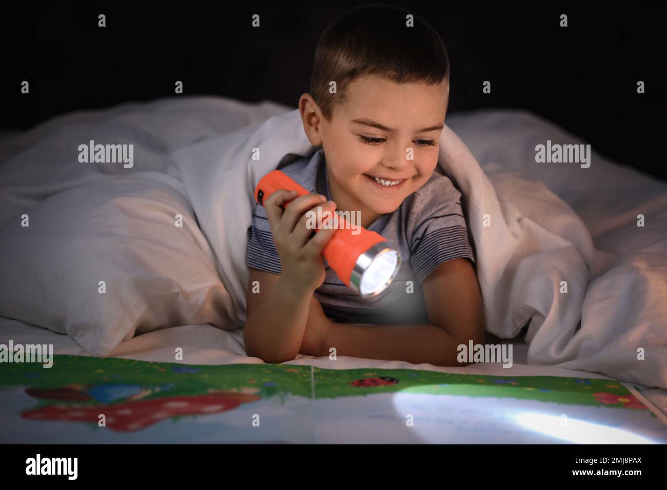 Little boy with flashlight reading book in bed at home Stock Photo - Alamy