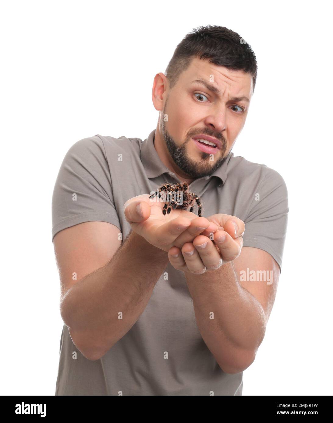 Scared man holding tarantula on white background. Arachnophobia (fear ...