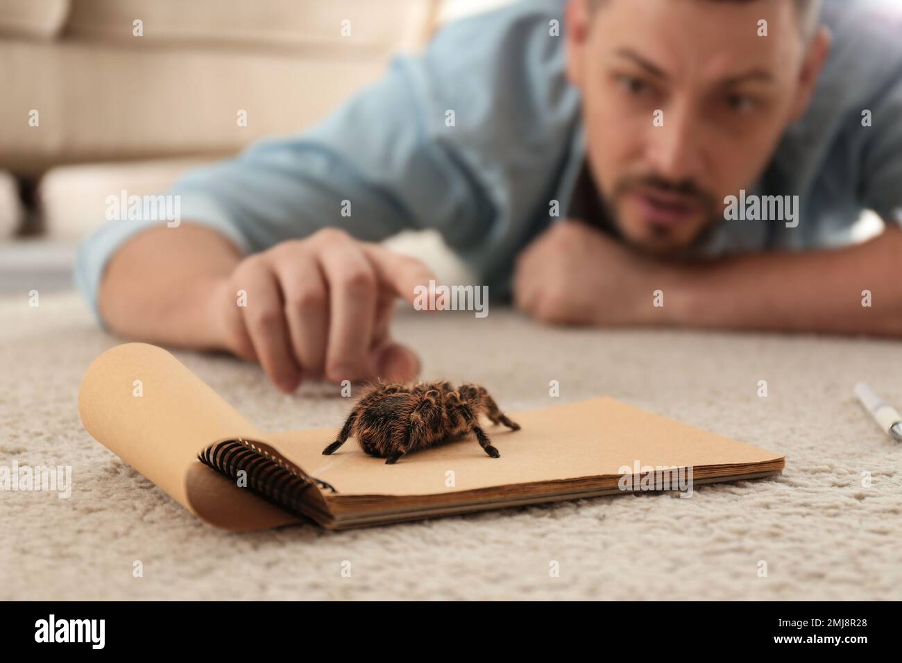 Fear for spiders hi-res stock photography and images - Alamy