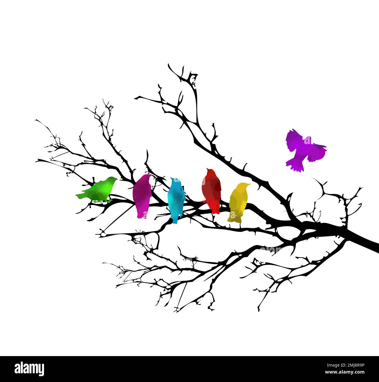 Songbirds with colorful background Stock Vector Images - Alamy