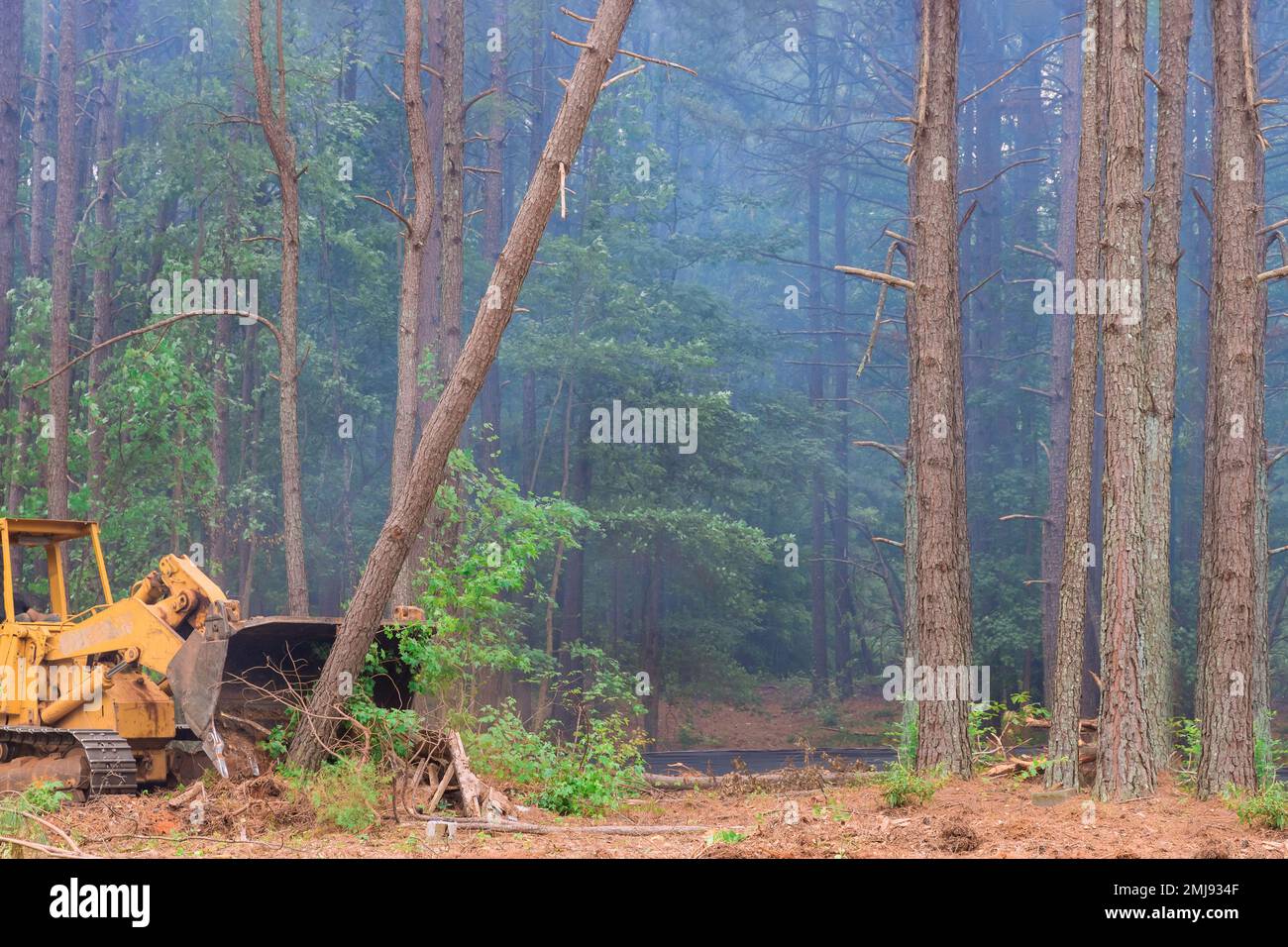 During construction process tractor skid steers were used to clear land ...