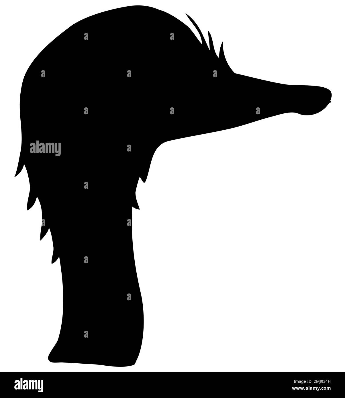 Wildlife ostrich Stock Vector Images - Alamy