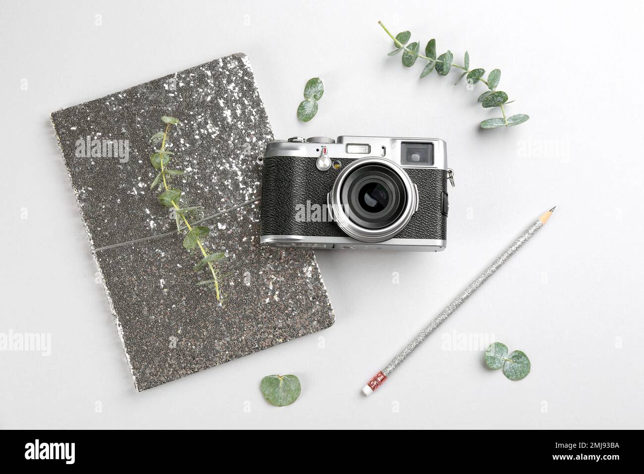 Flat lay composition with camera for professional photographer and ...