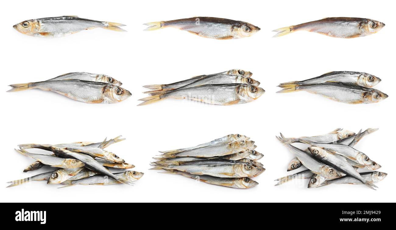 Set of tasty dry fish on white background Stock Photo - Alamy