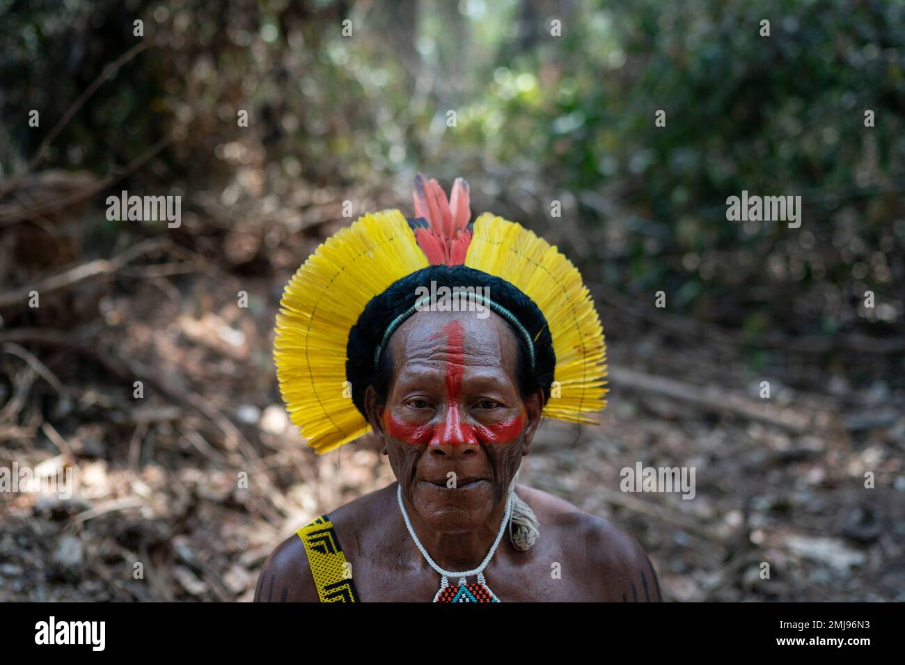 Krimej village indigenous Chief Kadjyre Kayapo, of the Kayapo ...