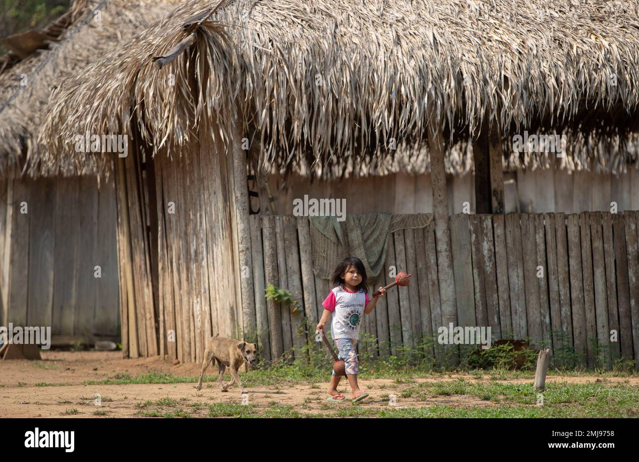 A Karitiana indigenous girl walks with her dog in Juari village on the ...