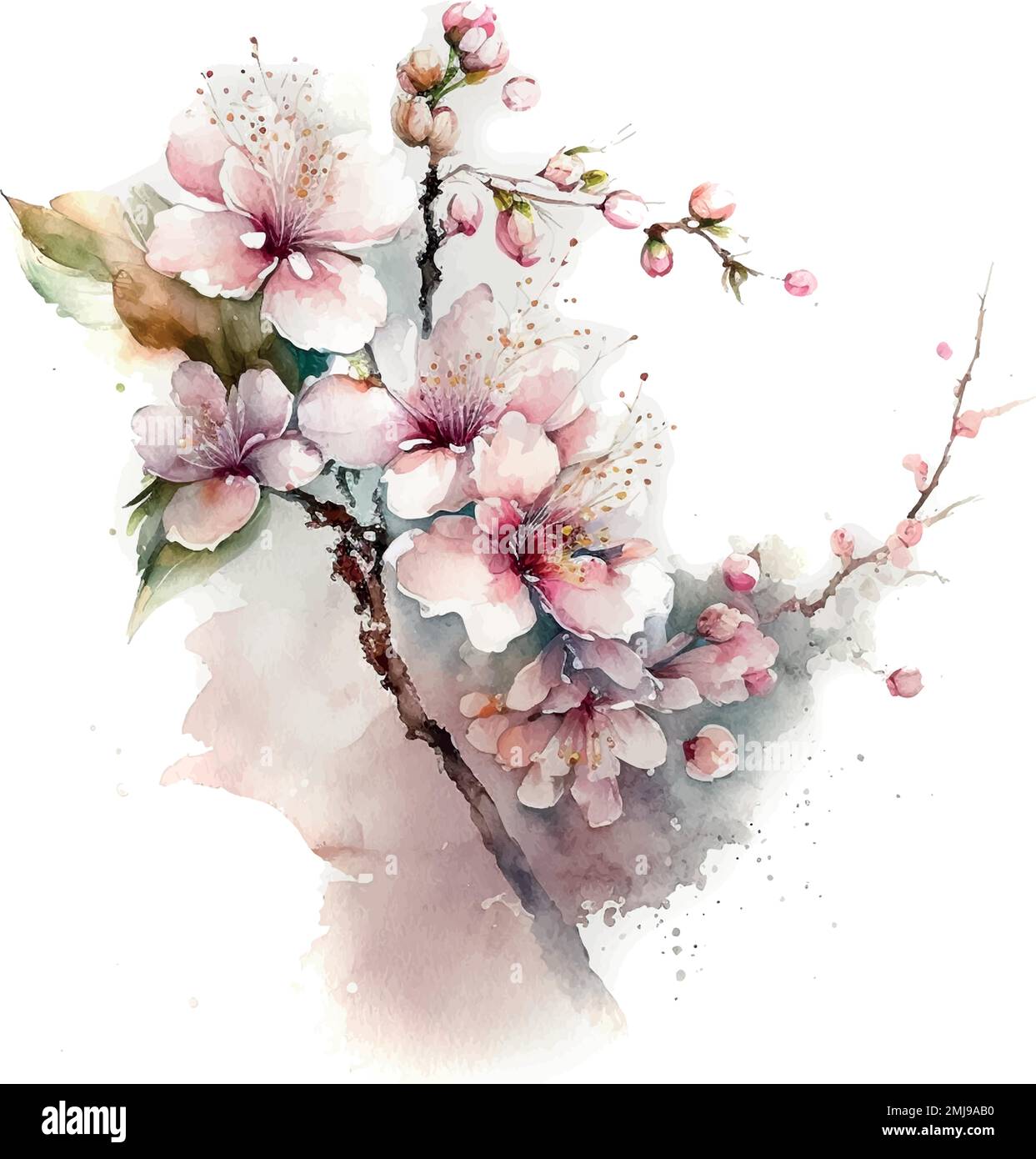 Spring flowers: cherry blossoms and falling petals background ...