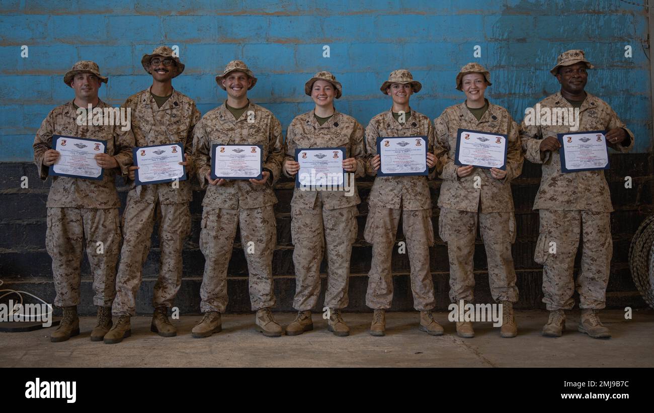 U.S. Navy Corpsmen with 1st Medical Battalion, Combat Logistics ...