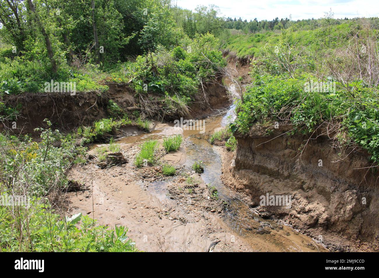 Ditch with a stream, small brook channel Stock Photo - Alamy