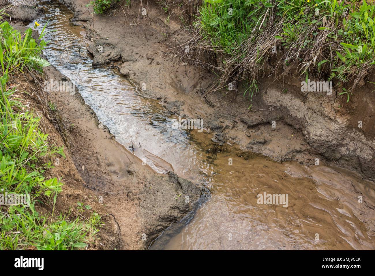 Ditch with a stream, small brook channel Stock Photo - Alamy