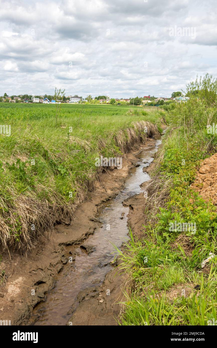Ditch with a stream, small brook channel Stock Photo - Alamy