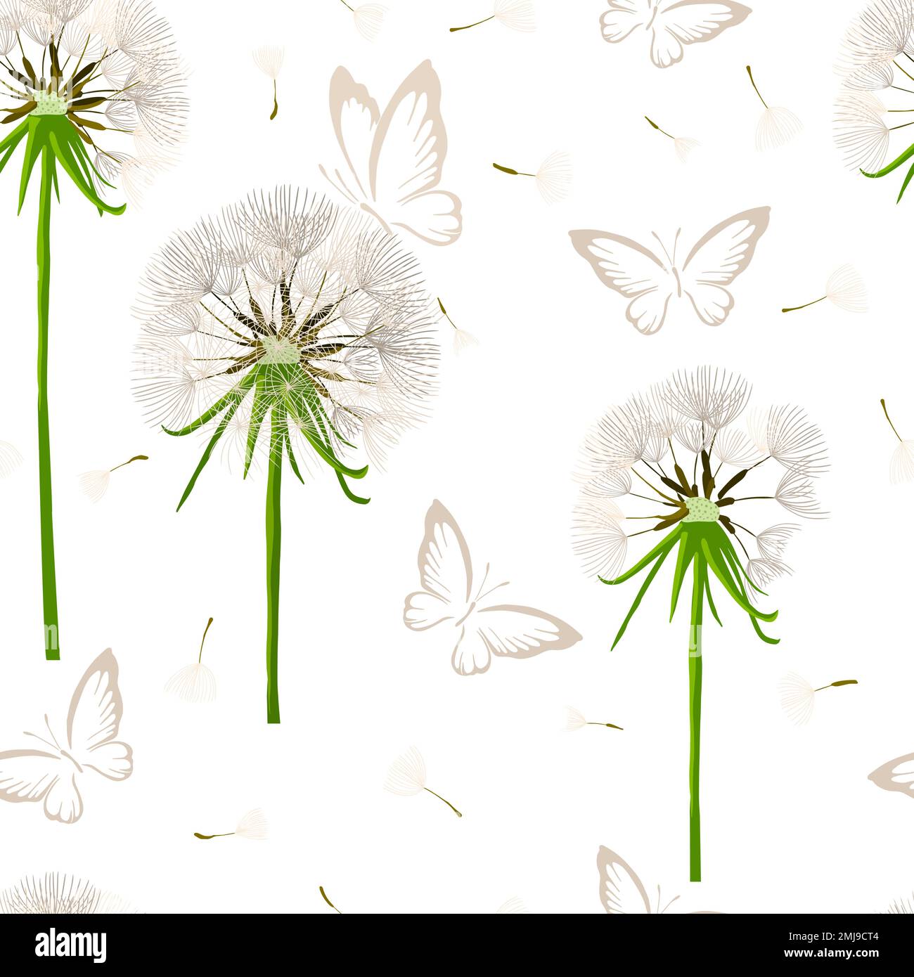 Seamless pattern dandelions on a white background. Background for ...