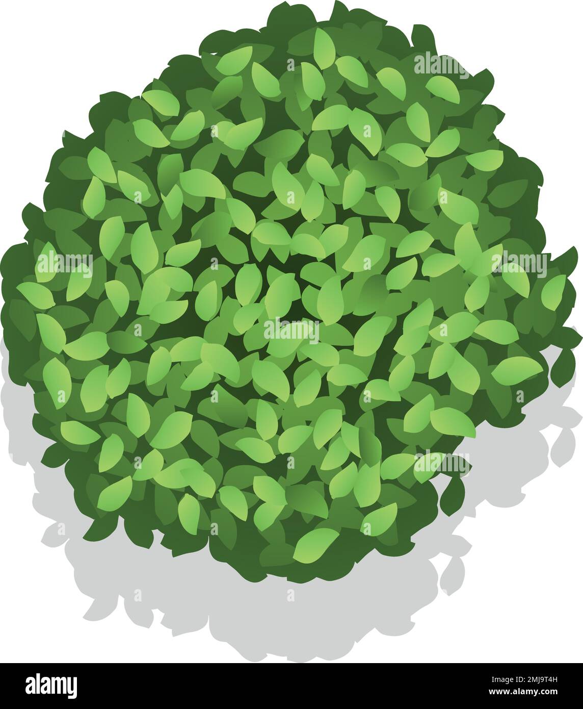 Leafy patio garden Stock Vector Images - Alamy