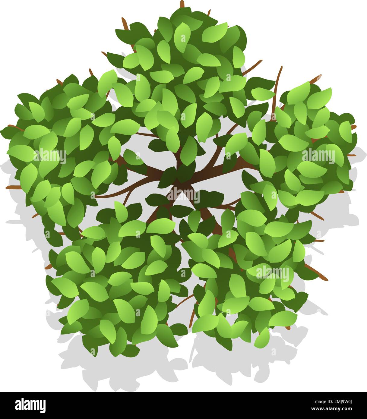 Park plan nature element. Green tree top view Stock Vector Image & Art ...