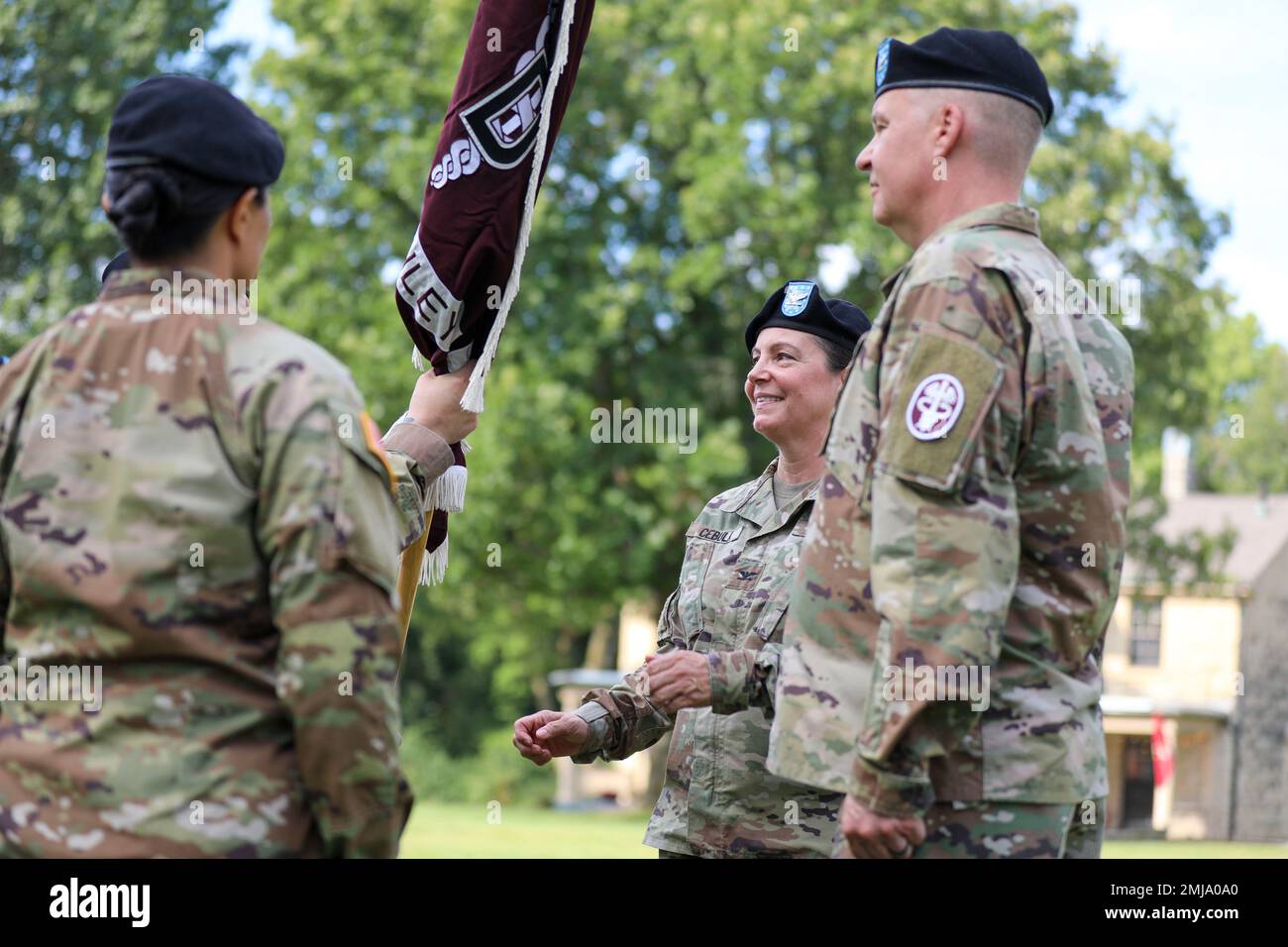 Dentac hi-res stock photography and images - Alamy