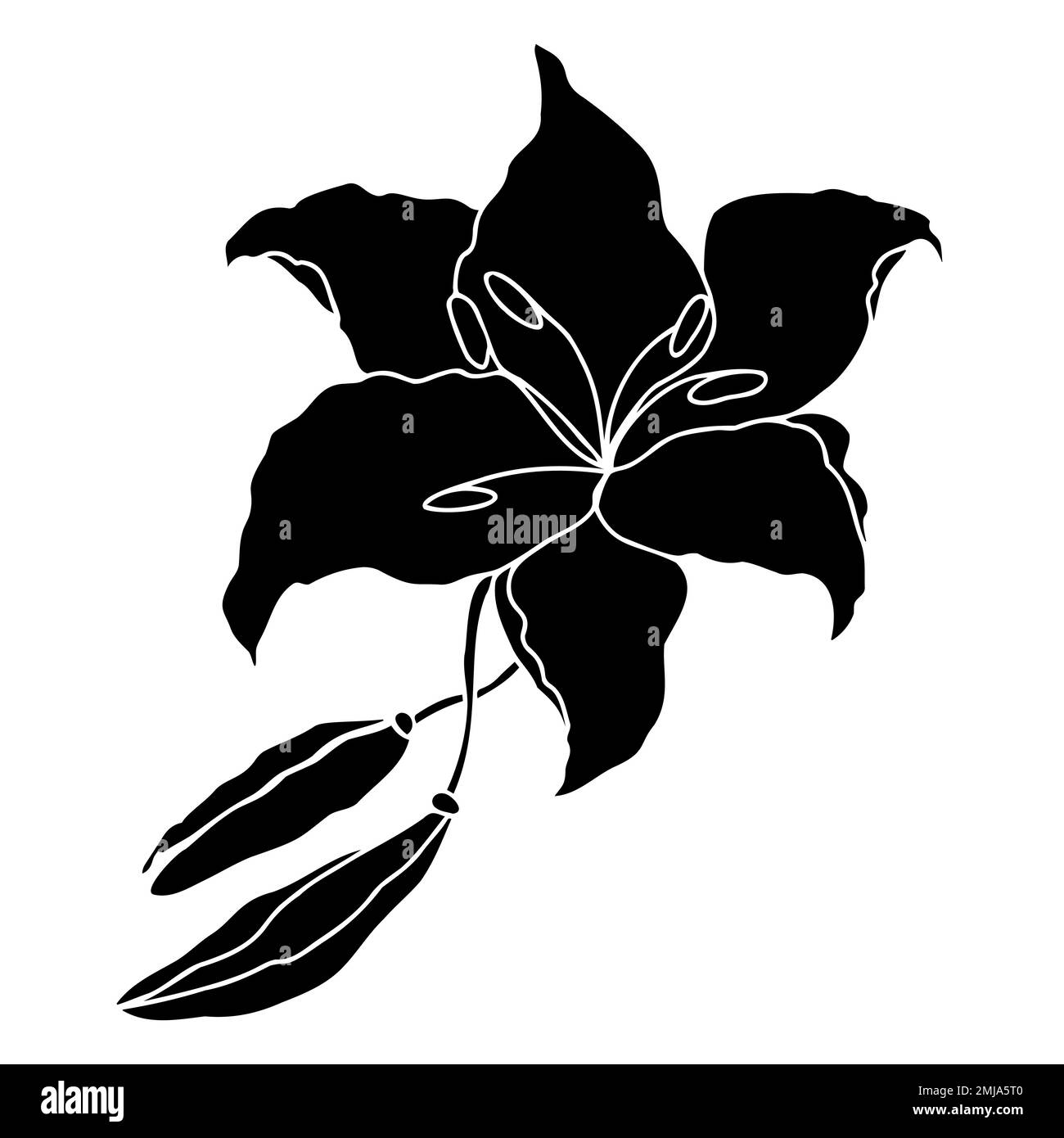 Hand drawn wildflower card Black and White Stock Photos & Images - Alamy