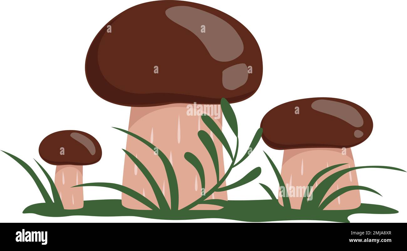 Yellow boletus growing. Cartoon forest nature element Stock Vector ...