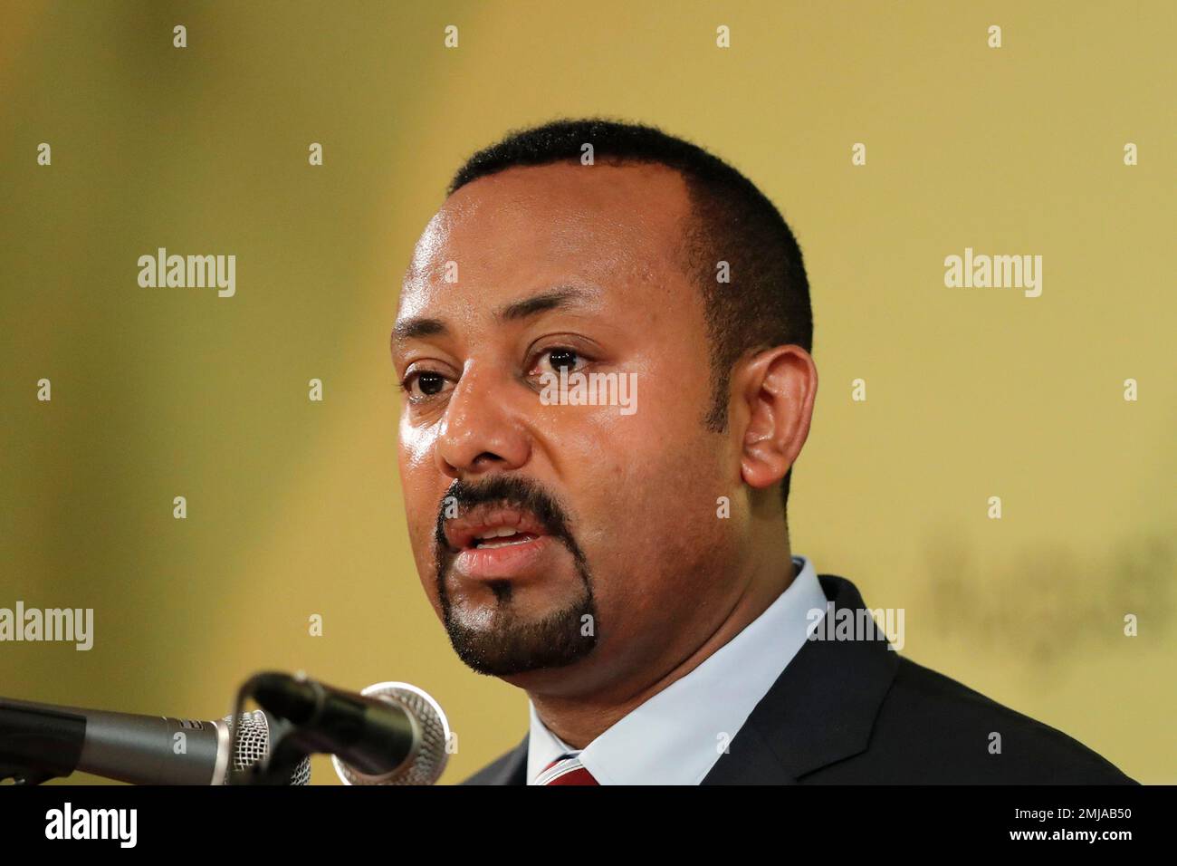 Ethiopian Prime Minister Abiy Ahmed speaks during the Ethiopia-Korea ...