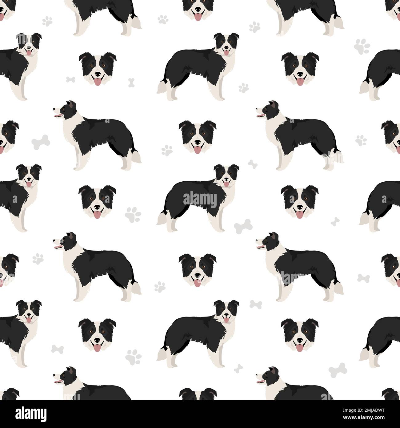 Border collie dog seamless pattern. Vector illustration Stock Vector ...