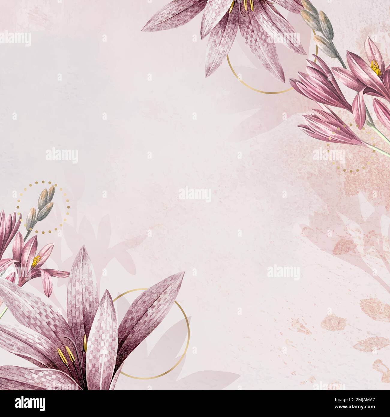 Lilium pink flower on Stock Vector Images - Alamy