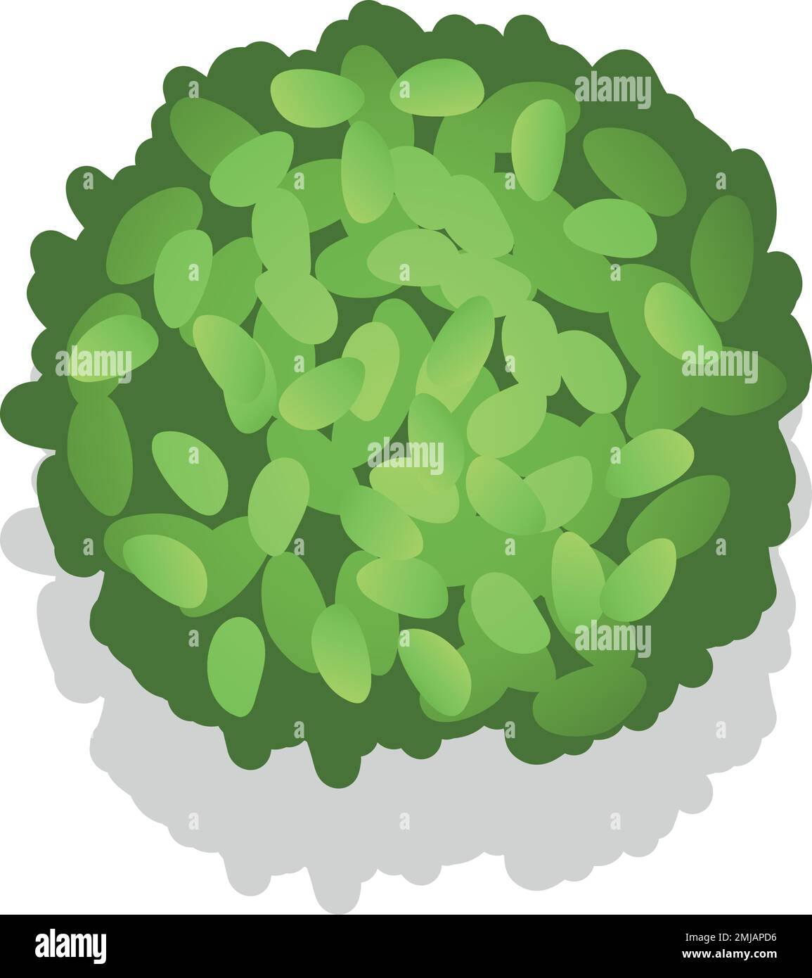 Landscape nature element. Green bush top view Stock Vector Image & Art ...