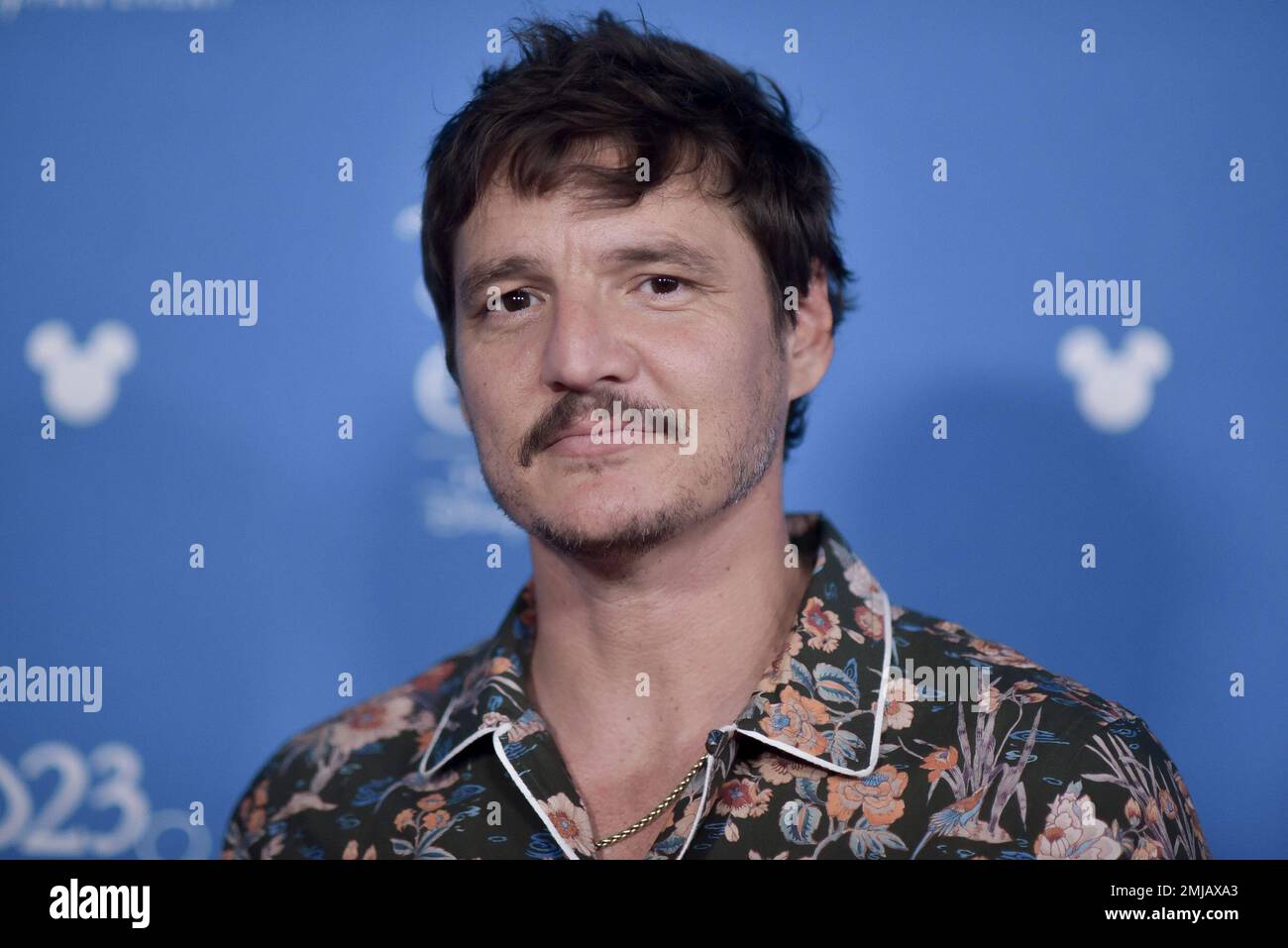 Pedro Pascal attends the Disney+ press line at the 2019 D23 Expo on ...