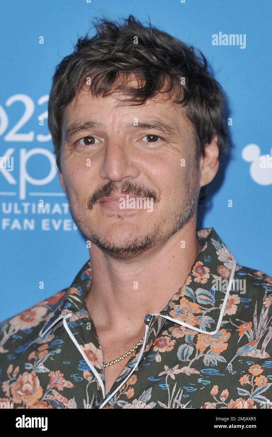 Pedro Pascal attends the Disney+ press line at the 2019 D23 Expo on ...