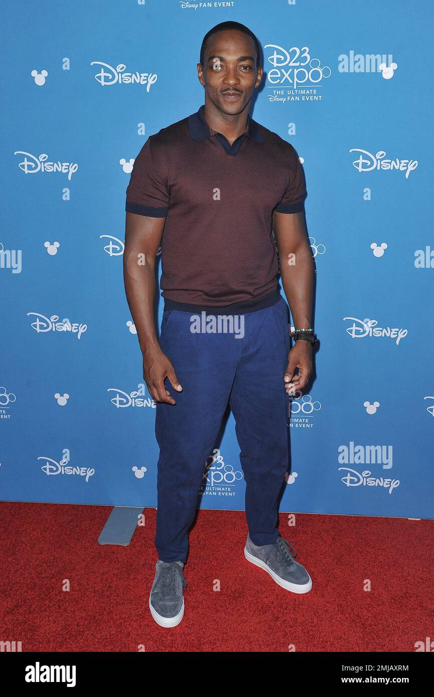 Anthony Mackie attends the Disney+ press line at the 2019 D23 Expo on ...